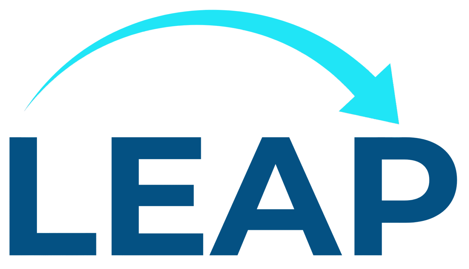 case studies - Leap AI Tech